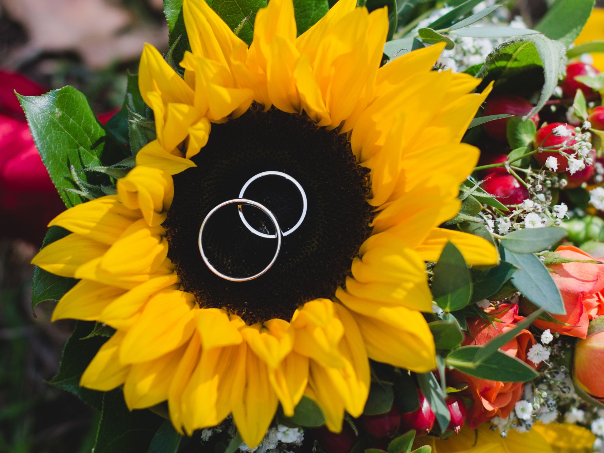 Sunflower Wedding Color Palette: Sunflower Wedding Color Ideas
